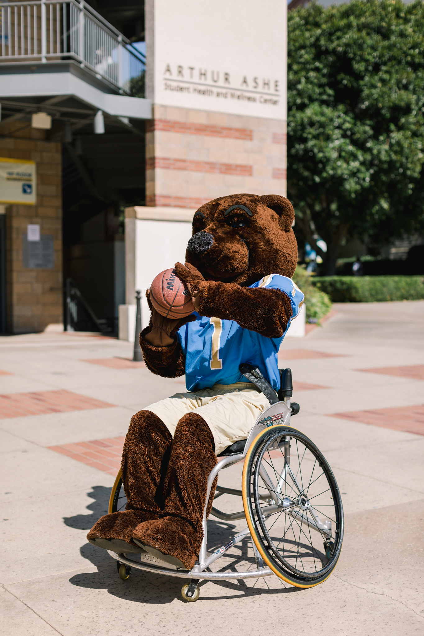 SPORTS AND ACCESS : A COLLECTION OF ORAL HISTORIES AND STORIES - UCLA ...